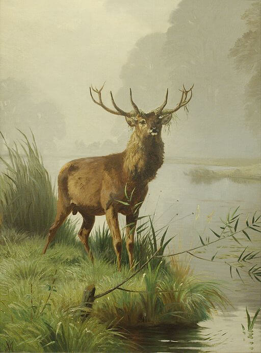 The Enchanted Stag - Fairy Tale by The Brothers Grimm