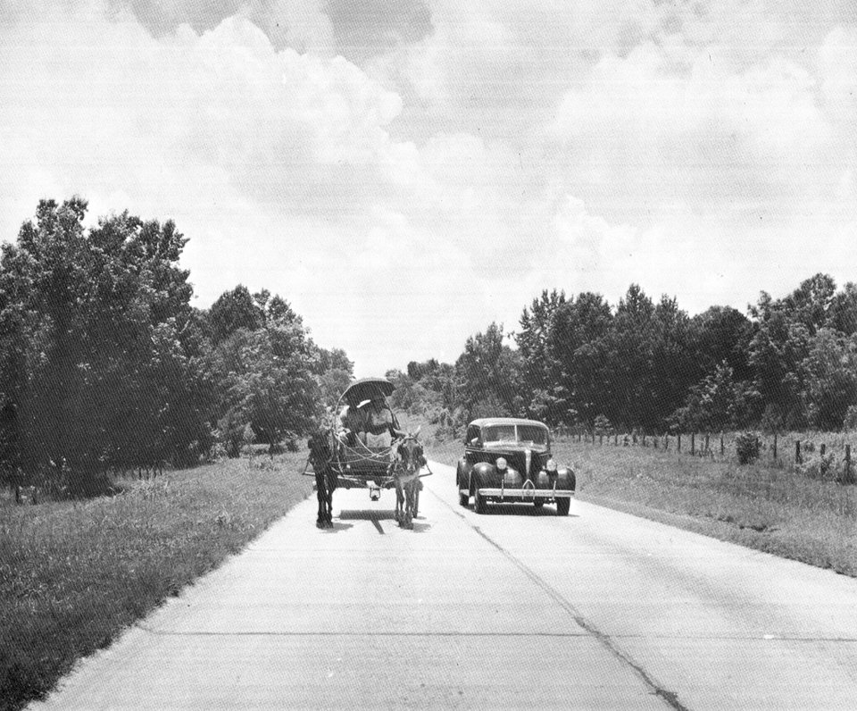 A Worn Path by Eudora Welty: Summary, Themes & Analysis