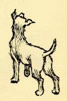 A Dark Brown Dog by Stephen Crane — Full Text Free