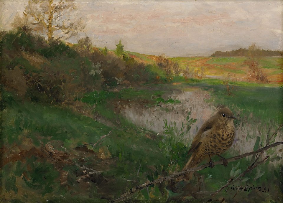 The Darkling Thrush by Thomas Hardy | Full Text & Analysis
